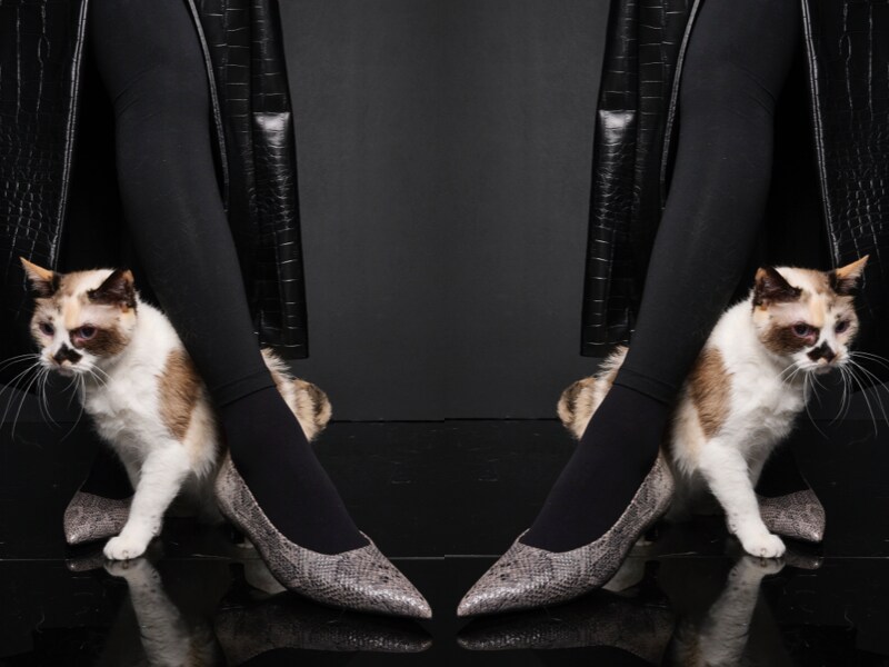 Naturalizer Callie Bootie | Womens Boots